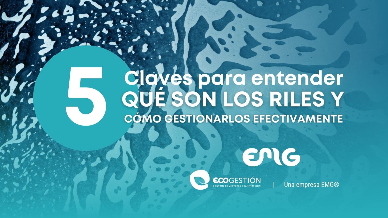 5 Claves para Entender qué son los Riles y Cómo Gestionarlos ...