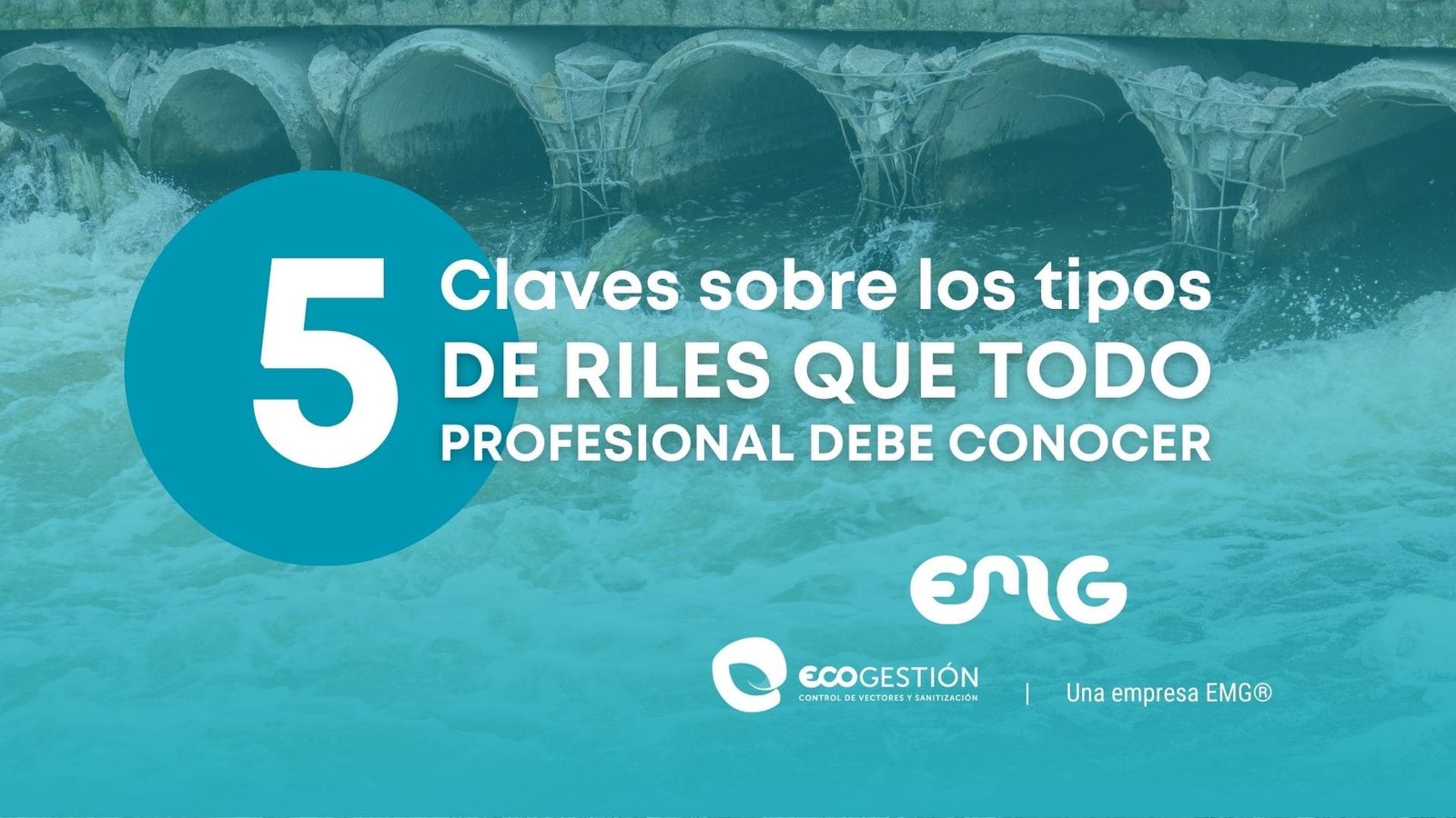 5 Claves sobre los Tipos de Riles que Todo Profesional Debe Conocer ...
